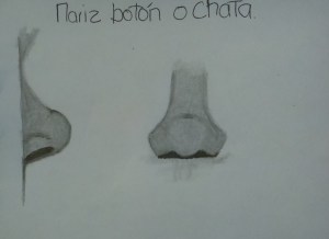 TIPOS DE NARIZ – Belleza Micrón.