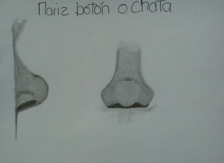 TIPOS DE NARIZ – Belleza Micrón.