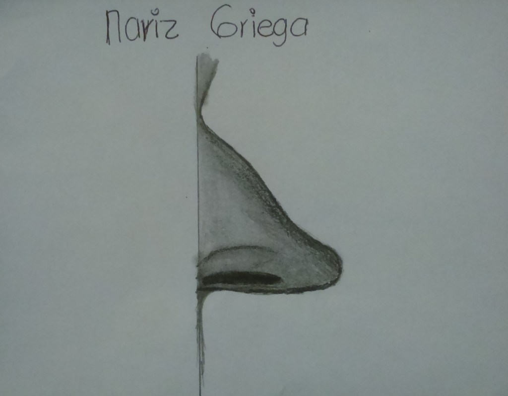 TIPOS DE NARIZ – Belleza Micrón.