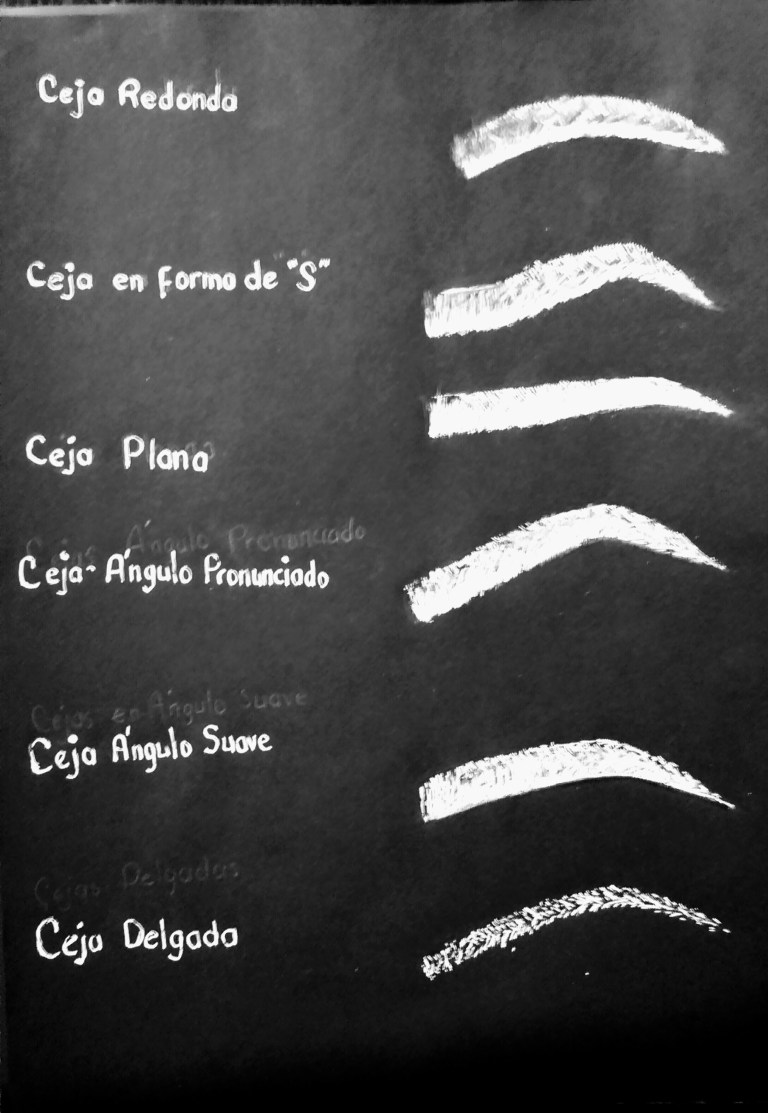 LAS CEJAS. – Belleza Micrón.