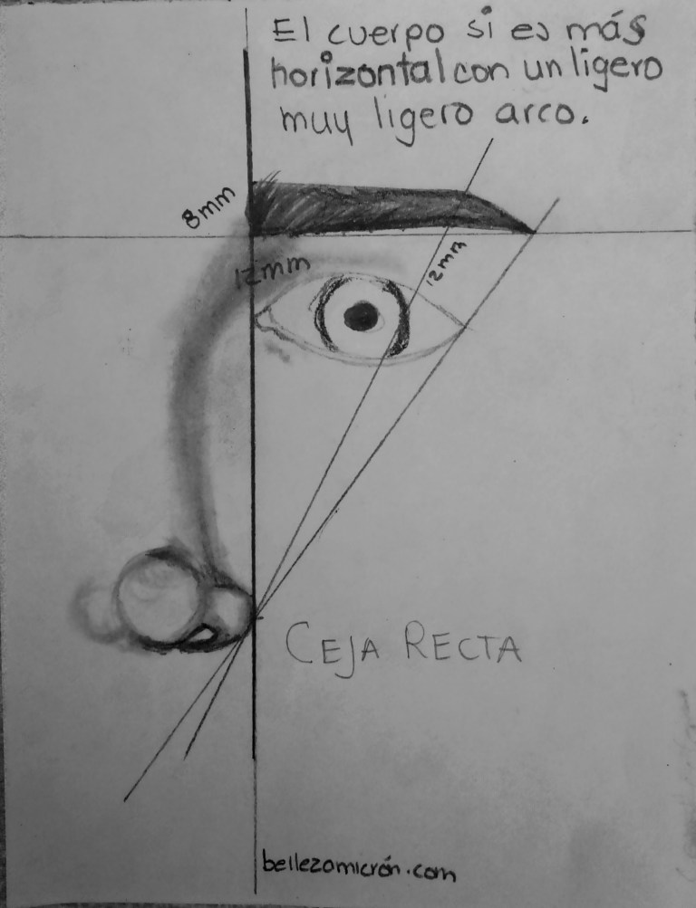 LAS CEJAS. – Belleza Micrón.