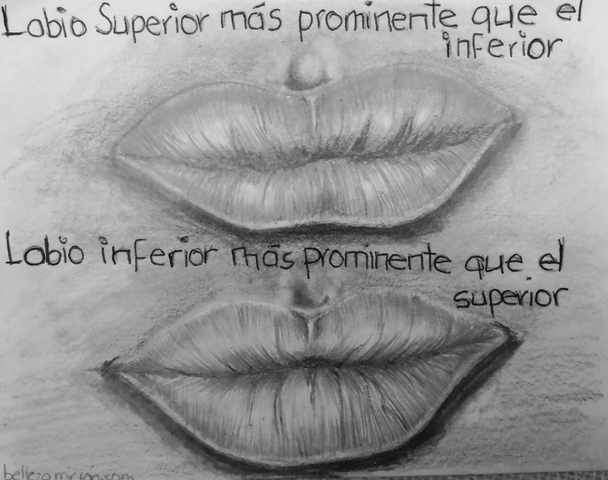 TIPOS DE LABIOS. – Belleza Micrón.