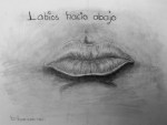 TIPOS DE LABIOS. – Belleza Micrón.