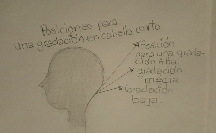 CÓMO CORTAR EL CABELLO UNA MISMA (Técnicas) parte 4. – Belleza Micrón.