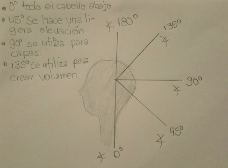 CÓMO CORTAR EL CABELLO UNA MISMA (Técnicas) parte 4. – Belleza Micrón.