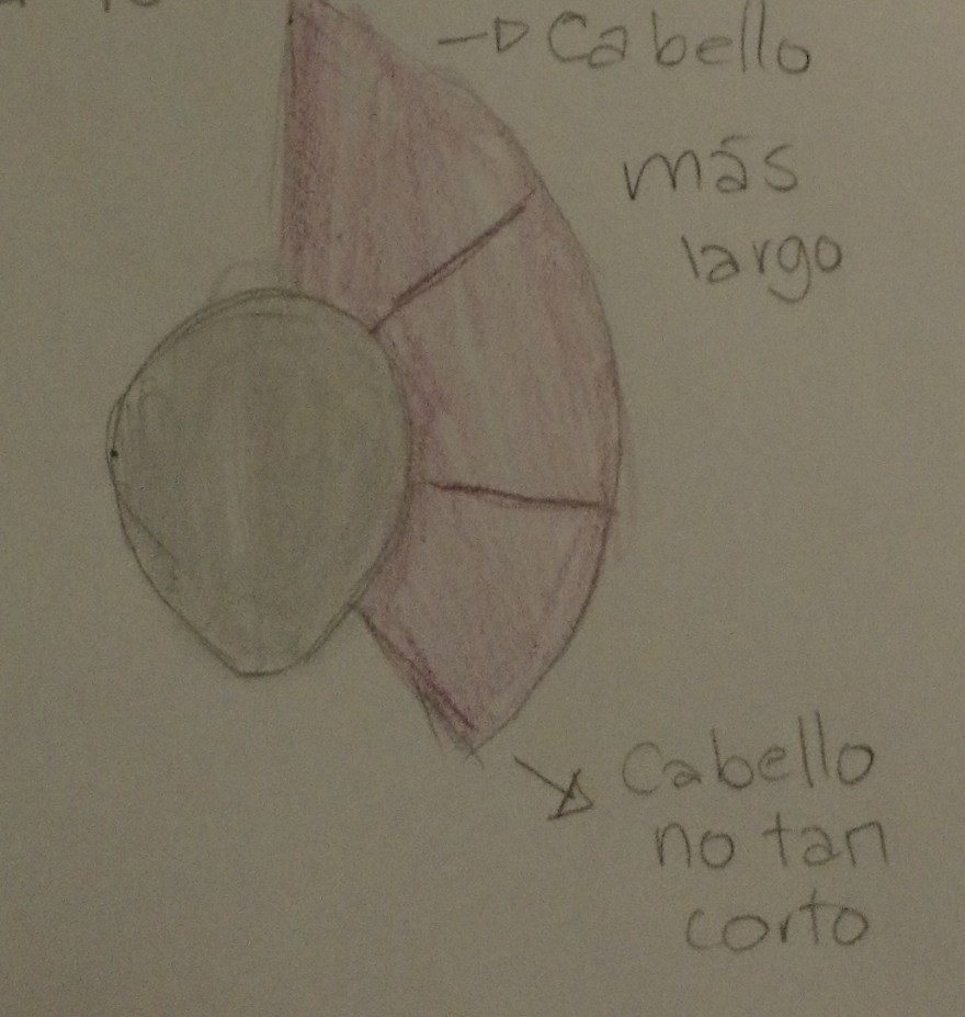 CÓMO CORTAR EL CABELLO UNA MISMA (Técnicas) parte 4. – Belleza Micrón.